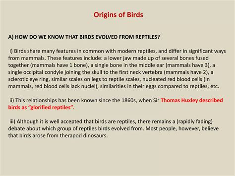 Birds Are Glorified Reptiles Archaeopteryx Compare Archaeopteryx And