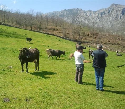Desarrollo Rural Fundaci N N