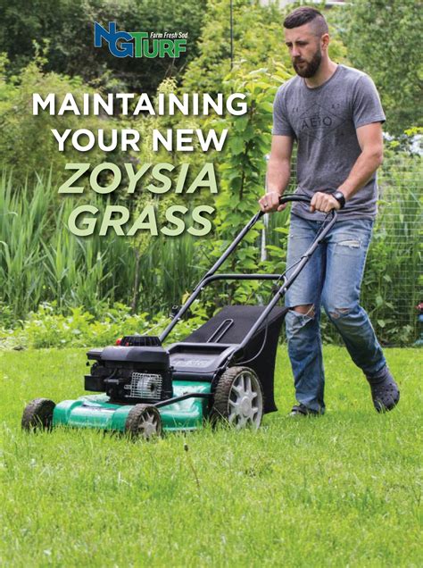 Zoysia Maintenance Zoysia Grass Grass Care Grass