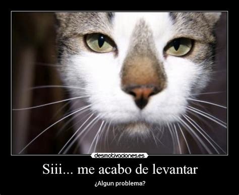 Siii Me Acabo De Levantar Desmotivaciones