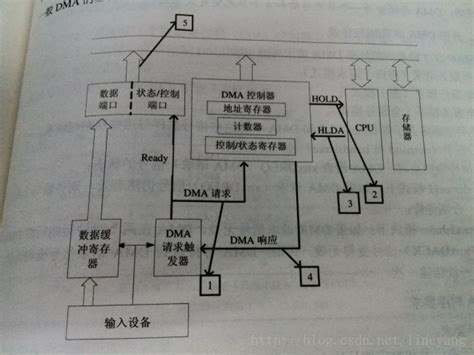 直接内存访问（dma）初探安卓dma访问 Csdn博客