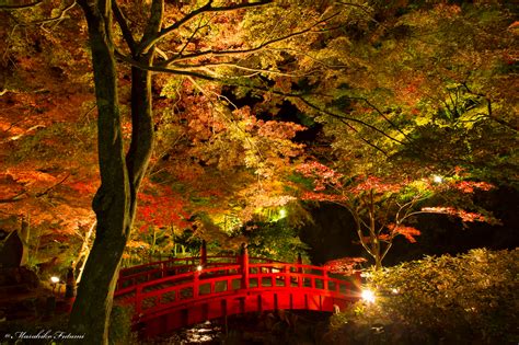 魅せる写真撮影テクニック Fuuryuu 風流 写真作家 二見匡彦