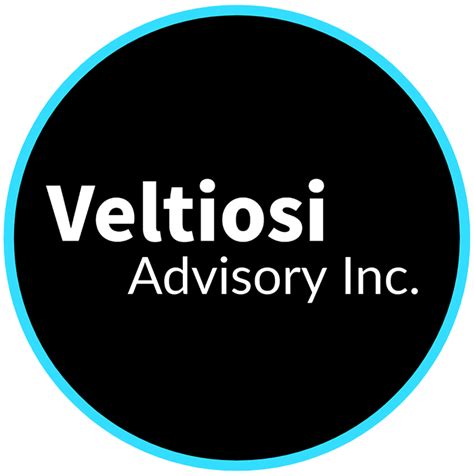 Microsoft Excel Services Veltiosi Advisory Inc