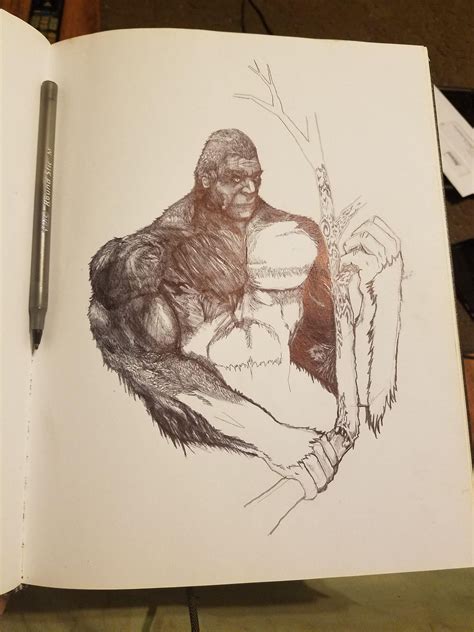 A Few Of My Sasquatch Sketches R Bigfoot