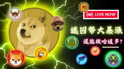 迷因幣能追？狗狗幣 Pepe Shib Silly Coq Wif Bonk Floki Meme Youtube