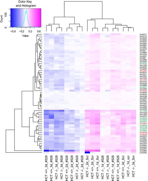 Clustering Of Human Rrna 2′ O Methylation On 28s Rrna Sites According