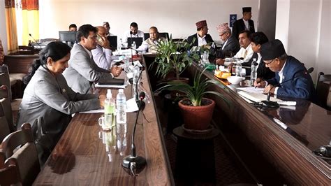जनार्दन शर्मामाथि छानबिन गर्न गठित समितिको म्याद थप हुने