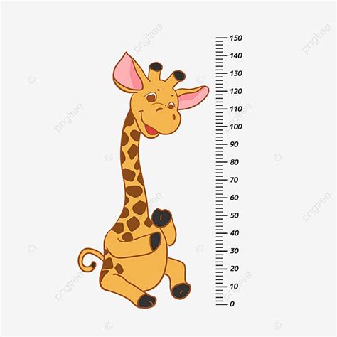 A Girafa Sentada Mede O Elemento De Altura Png Girafa Clipart
