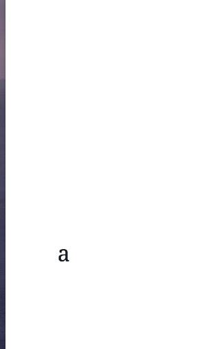 Layout Grid Content Overflows When Its Inside A Group Block · Issue