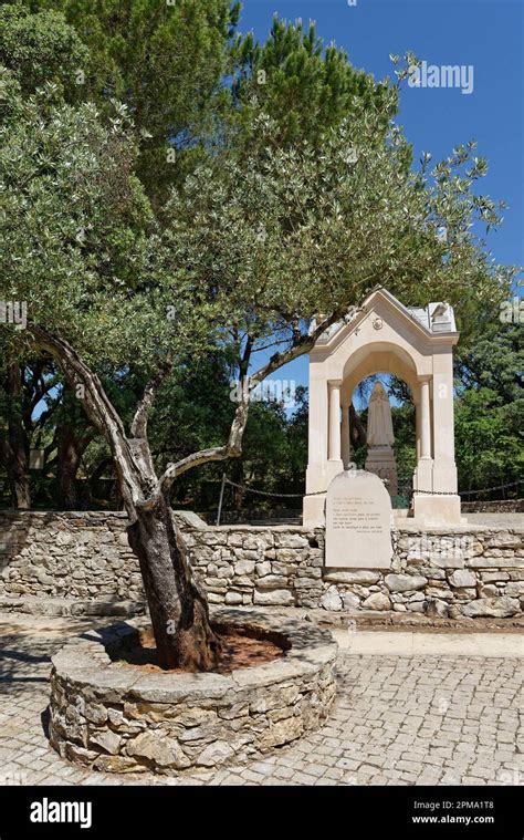 Statue Of St Mary Stations Of The Cross Valinhos Fatima Olive