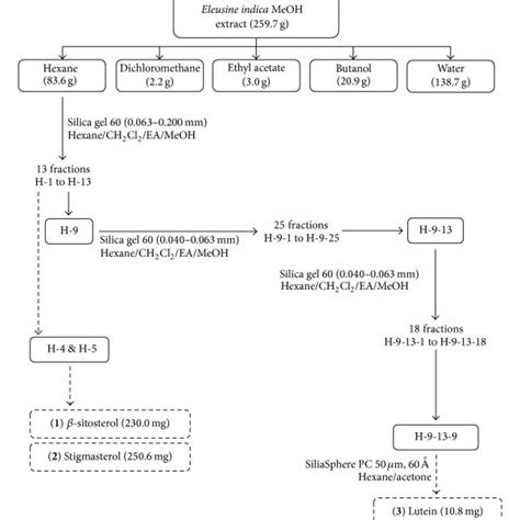 Schematic Flow Of The Bioactivity Guided Isolation On E Indica Extract