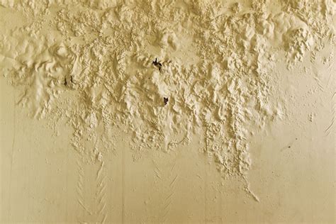 Damp Vs Mould Understanding The Differences