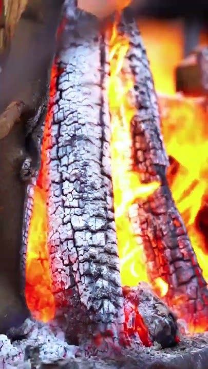 جاي ابو علي Youtube