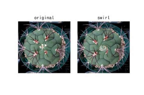 Scikit Image 24 画像の非線形変換transformswirl サボテンパイソン
