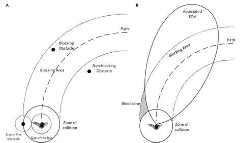 Figure 4 From The Curved Openspace Algorithm And A Spike Latency Model