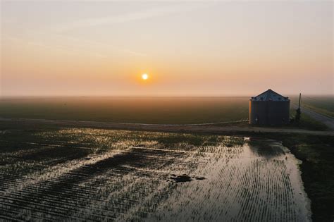 First In Us History Large Scale Rice Methane Reduction Credits