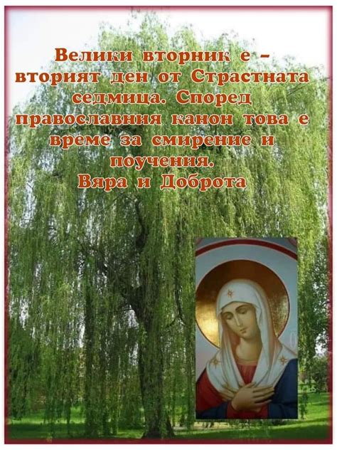 ДУША ОТ ОГЪН Home Facebook