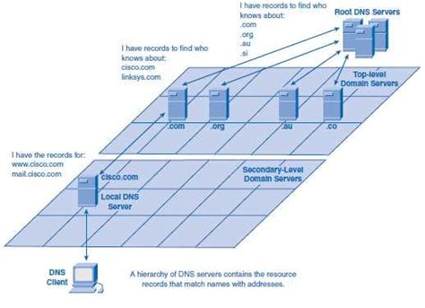 2hierarchy Of Dns Servers The Different Top Level Domains Represent