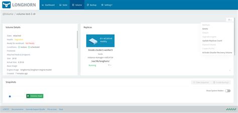 Bug Ui Disable Update Replica Count Button For Dr Volumes · Issue