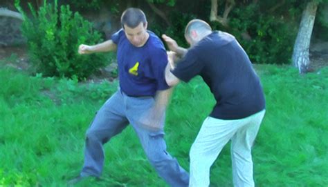 Professional Combat - Falcon, Professional Security and Training LLC