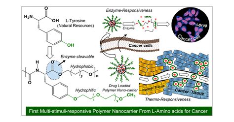 Multistimuli Responsive Amphiphilic Polyester Urethane Nanoassemblies Based On L Tyrosine For
