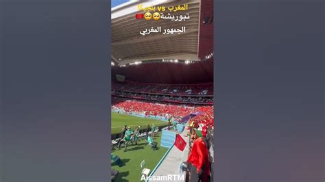 التبوريشة الجمهور المغربي من داخل مدرجات الملعب المغرب بلجيكا قبل
