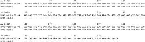 Alignment Of The Nucleotide Sequence Of Exon 3 Of Hla‐dpa10156 With