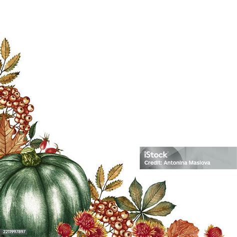 녹색 호박 꽃 나뭇잎 산 재가 있는 가을 프레임 수제 수채화 그림 가을 휴일을 위한 컬러 이미지 인사말 및 초대장 배너 및 포스터 0명에 대한 스톡 벡터 아트 및 기타
