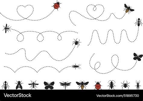 Dashed Line Insect Route Bee Mosquito Royalty Free Vector