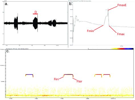 Call Parameters Extracted From Call Recordings Of Bats Collected A