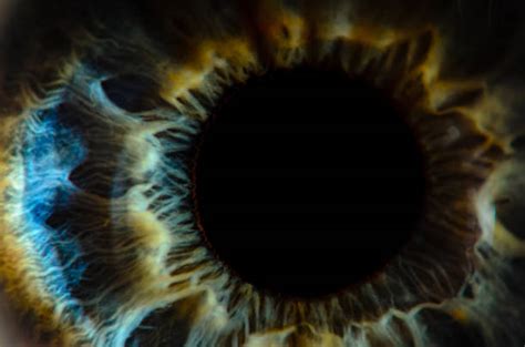 1000 Pupilla Dellocchio Foto Stock Immagini E Fotografie Royalty