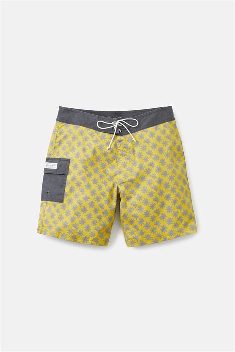 Mache Trunk Mtt Collective