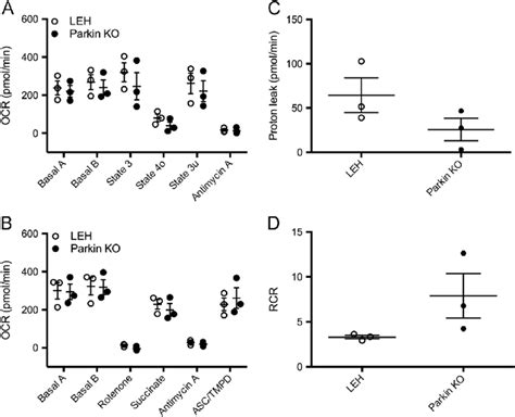 Striatal Synaptic Mitochondrial Bioenergetics A Mitochondrial State