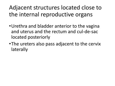 2 ANATOMY 20AND 20PHYSIOLOGY 20 20Copy Ppt