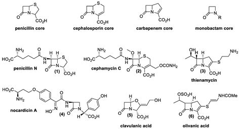 Beta Lactam Antibiotics Boc Sciences