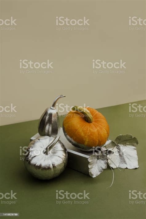 벽돌 연단 파스텔 배경에 은색으로 장식 된 다양한 호박이있는 가을 구성 10월에 대한 스톡 사진 및 기타 이미지 10월 11월 가을 Istock