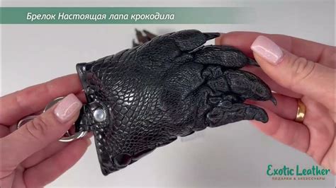 Брелок Настоящая лапа крокодила - YouTube