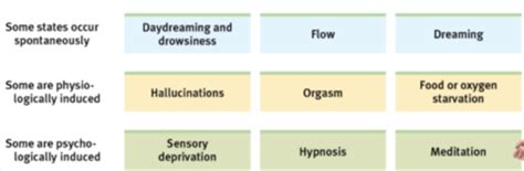 Test 2 Review All Chapters Flashcards Quizlet