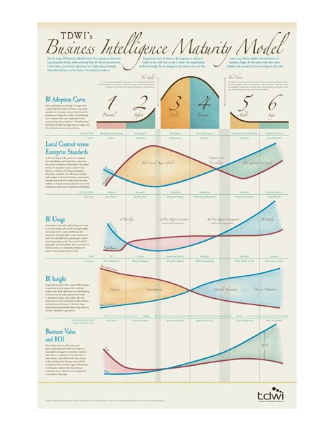 Business Intelligence Structure Models Healthcare Business