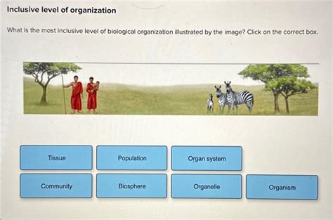 Solved Inclusive Level Of Organization What Is The Most