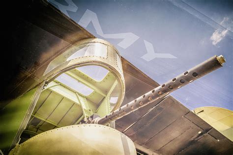 Stinger Photograph By Jim Love Fine Art America