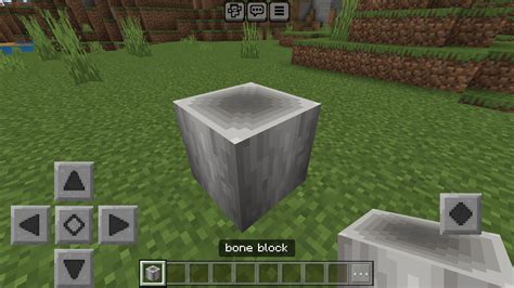 Everyones Talking About The Bone Block Skull But Guys I Think I