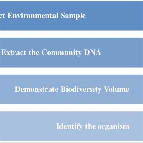 Metagenomics Workflow 1 Download Scientific Diagram
