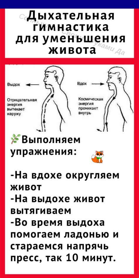 Дыхательная гимнастика для уменьшения живота — Своими руками… Да