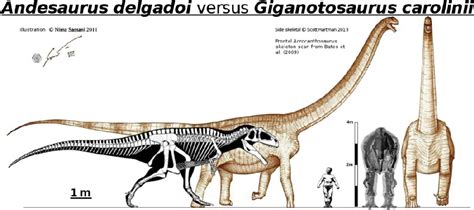 Writing Contest Sauropod Vs Megatheropod Dinosaurs Forum