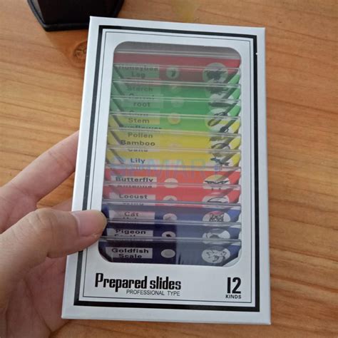 12pcs Prepared Plastic Microscope Slides Biologica Grandado