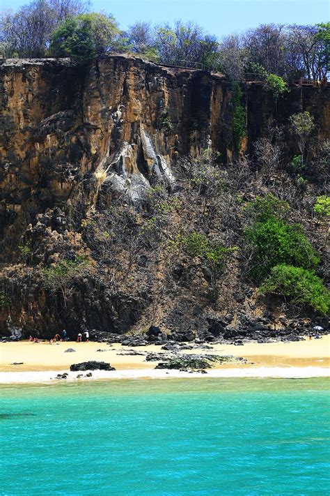 Fernando De Noronha Passeio De Barco Golfinhos Aquasub Snorkel E