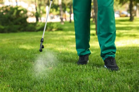 Common Fall Lawn Pests Cardinal Lawns