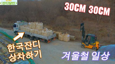 한국잔디 K잔디 생산 농장의 겨울철 일상 Youtube