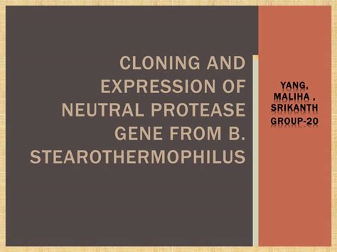 Ppt Cloning And Expression Of Neutral Protease Gene From B